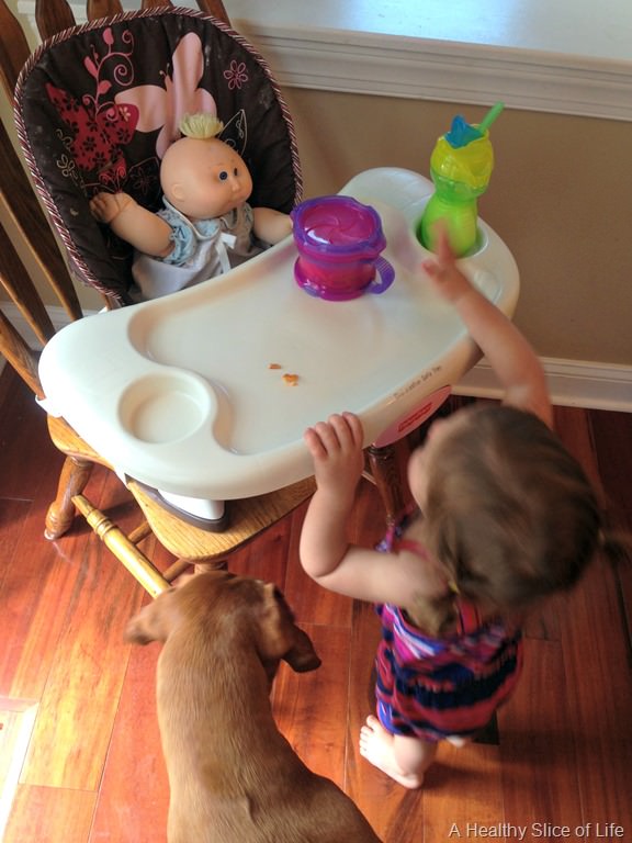 Hailey: 20 Months Old - A Healthy Slice of Life