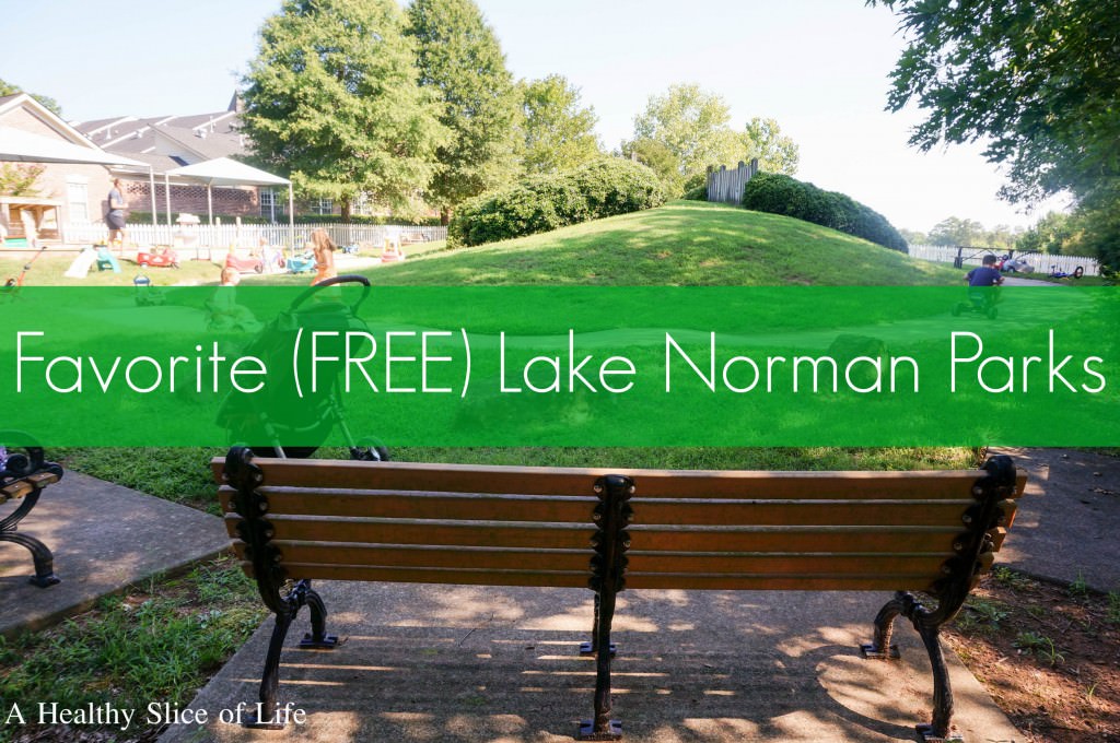 My Favorite (FREE) Lake Norman Parks - A Healthy Slice of Life