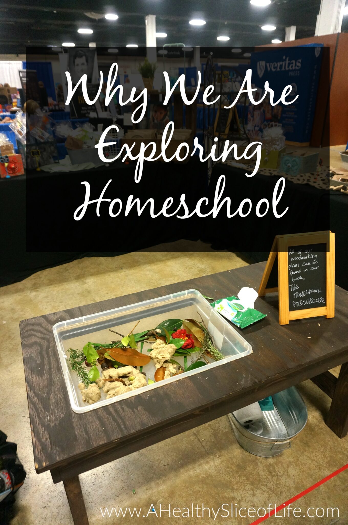 Why We Are Exploring Homeschool - A Healthy Slice of Life
