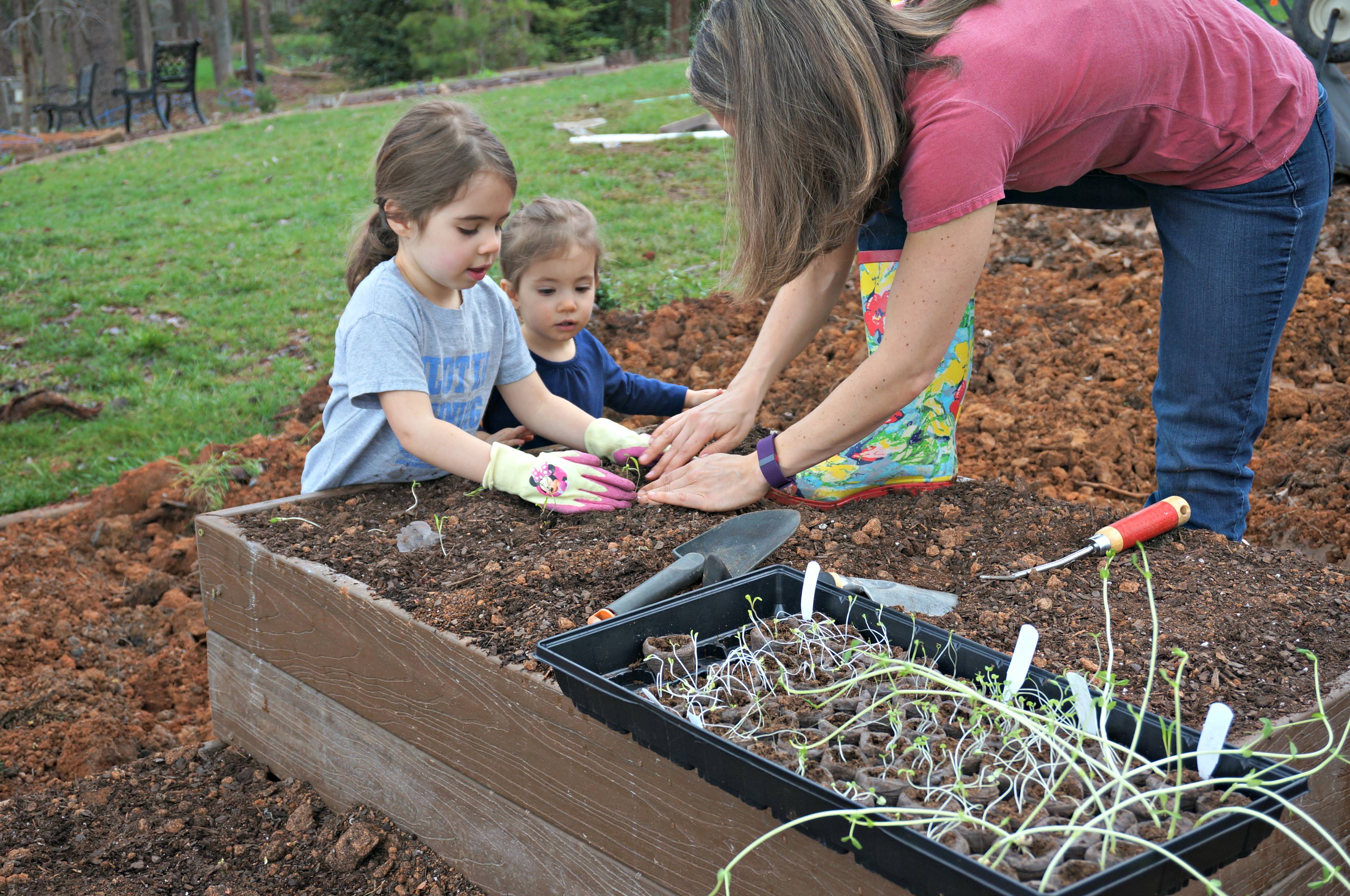 Our Spring Garden - A Healthy Slice of Life
