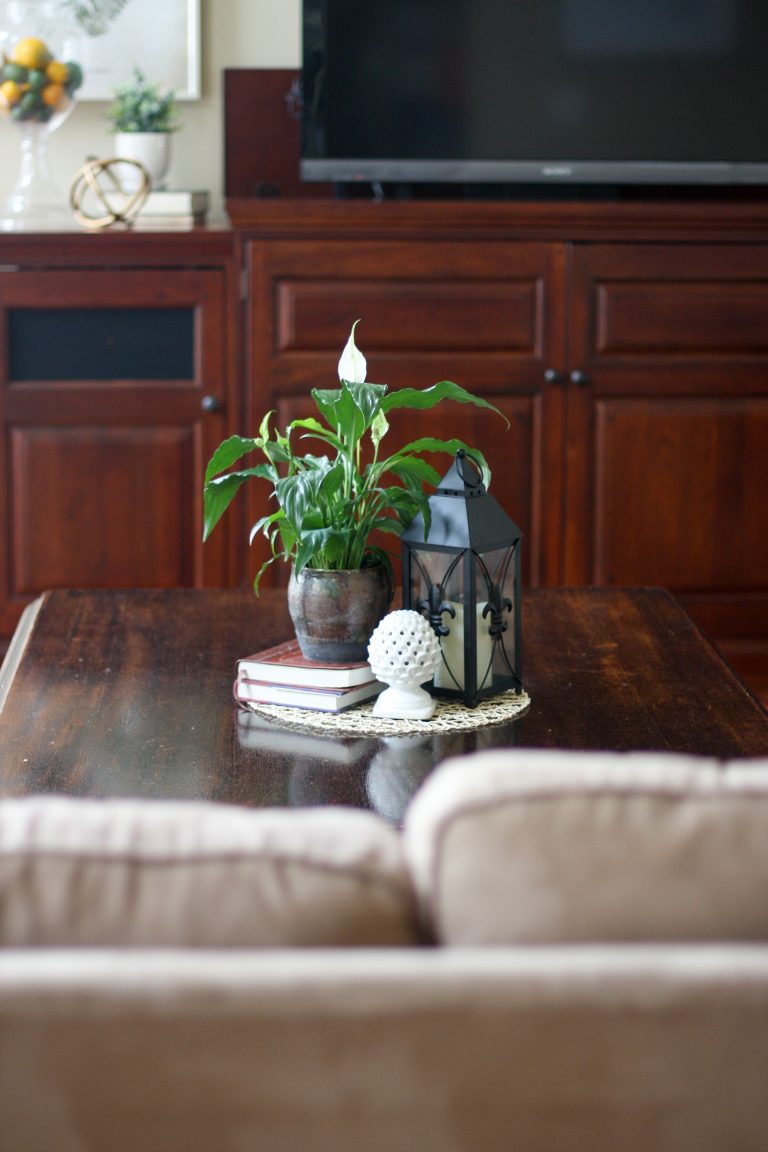 Living Room Makeover: In Progress Pictures