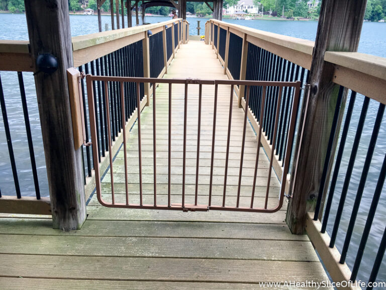 Lake Safety with Small Kids - A Healthy Slice of Life