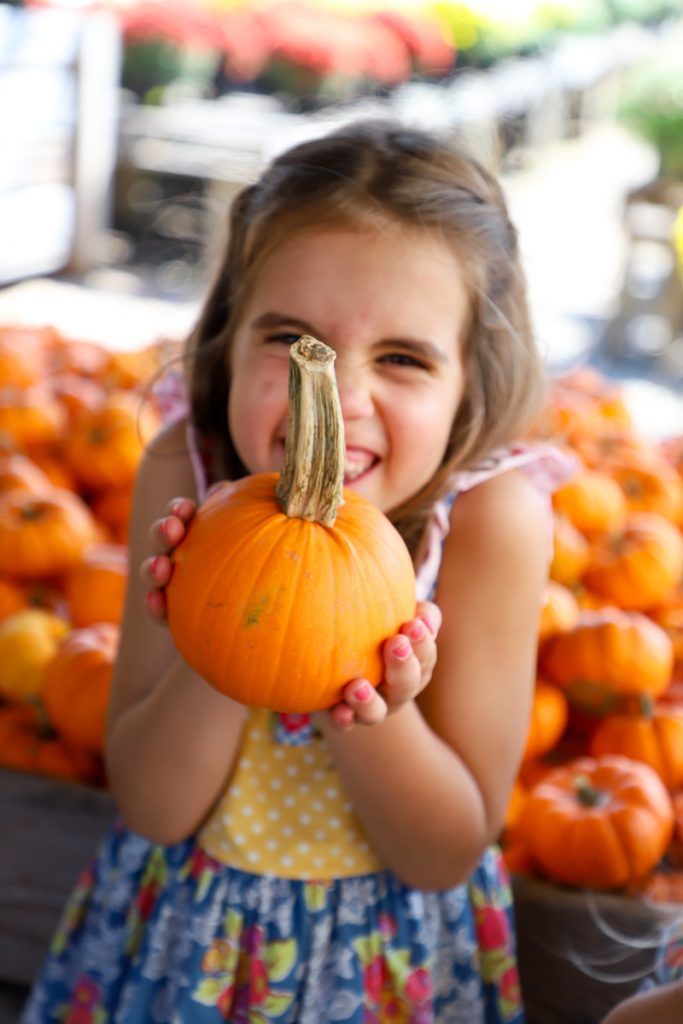 Kindergarten Homeschool October Unit Study: PUMPKINS!