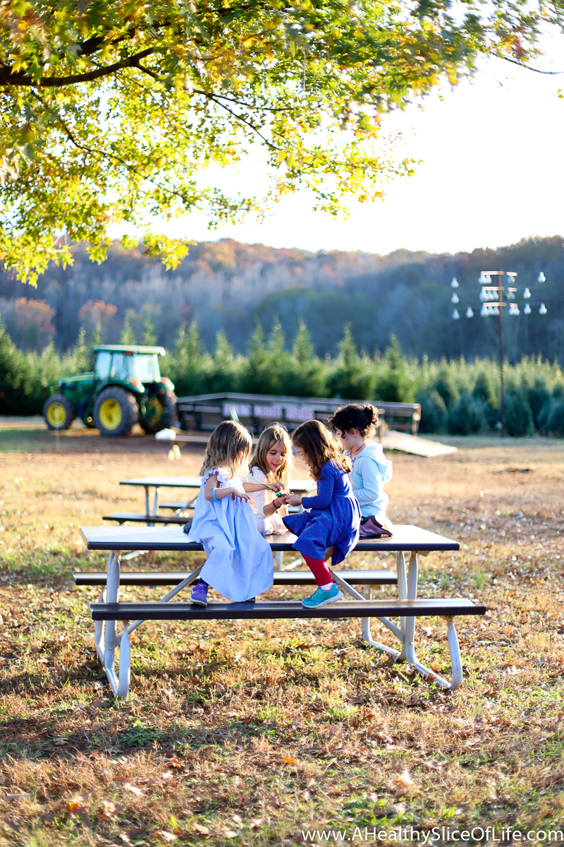 Thanksgiving 2017: Our Southern Road Trip Extravaganza