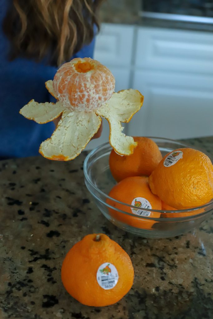 Sumo Citrus Mandarin and Avocado Salad - A Healthy Slice of Life