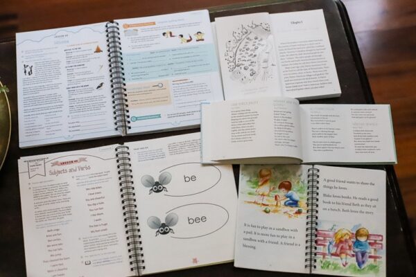 The Good and The Beautiful Language Arts Review - A Healthy Slice of Life