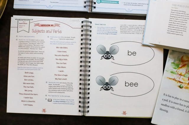 The Good and The Beautiful Language Arts Review - A Healthy Slice of Life