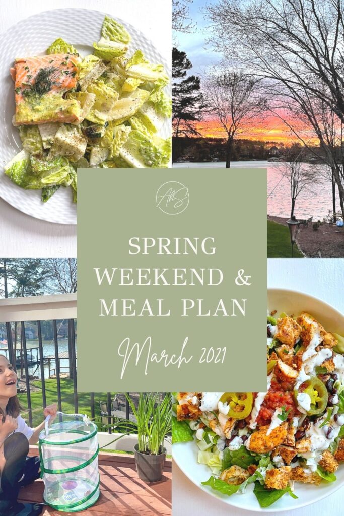 Weekend Recap + A Week of Easy Dinners - A Healthy Slice of Life