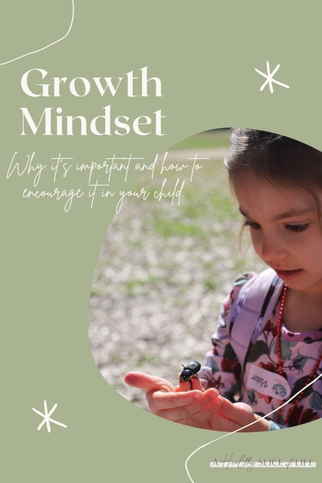 How to Encourage a Growth Mindset in Your Child - A Healthy Slice of Life