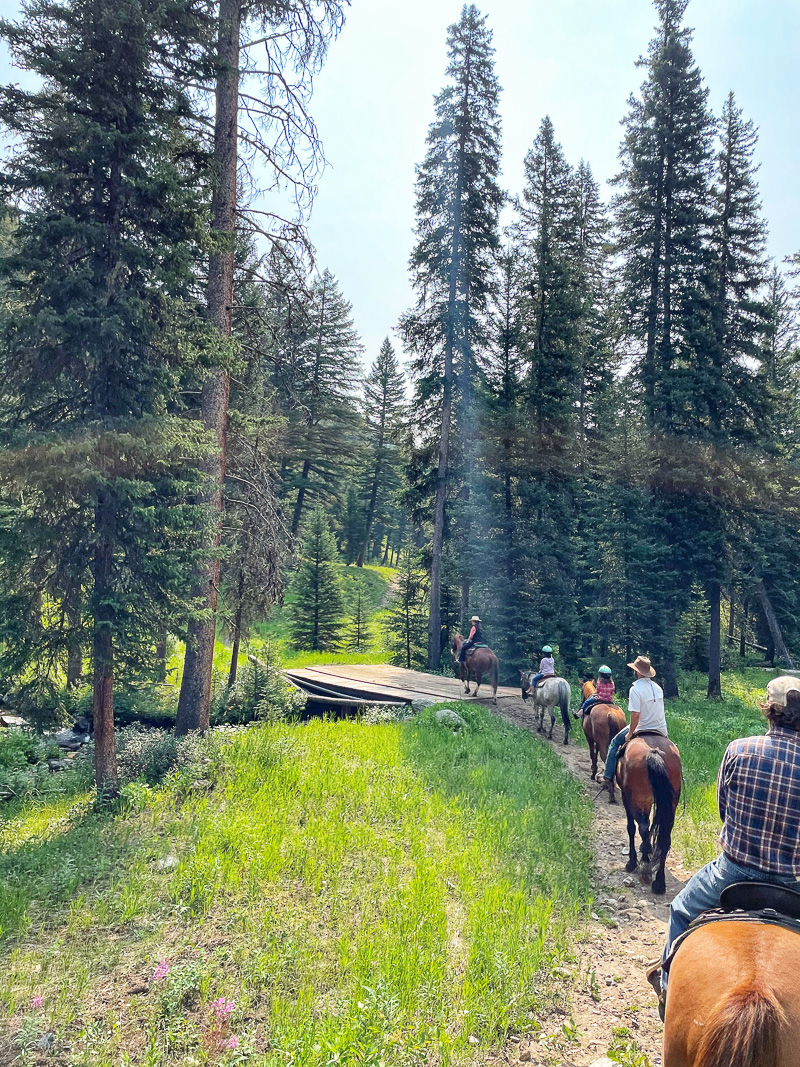 Lone Mountain Ranch Part 2 (Road Trip Day 8) - A Healthy Slice of Life