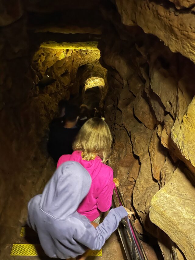 Road Trip! Day 4-5: Custer, Wind Cave, Mt. Rushmore - A Healthy Slice ...