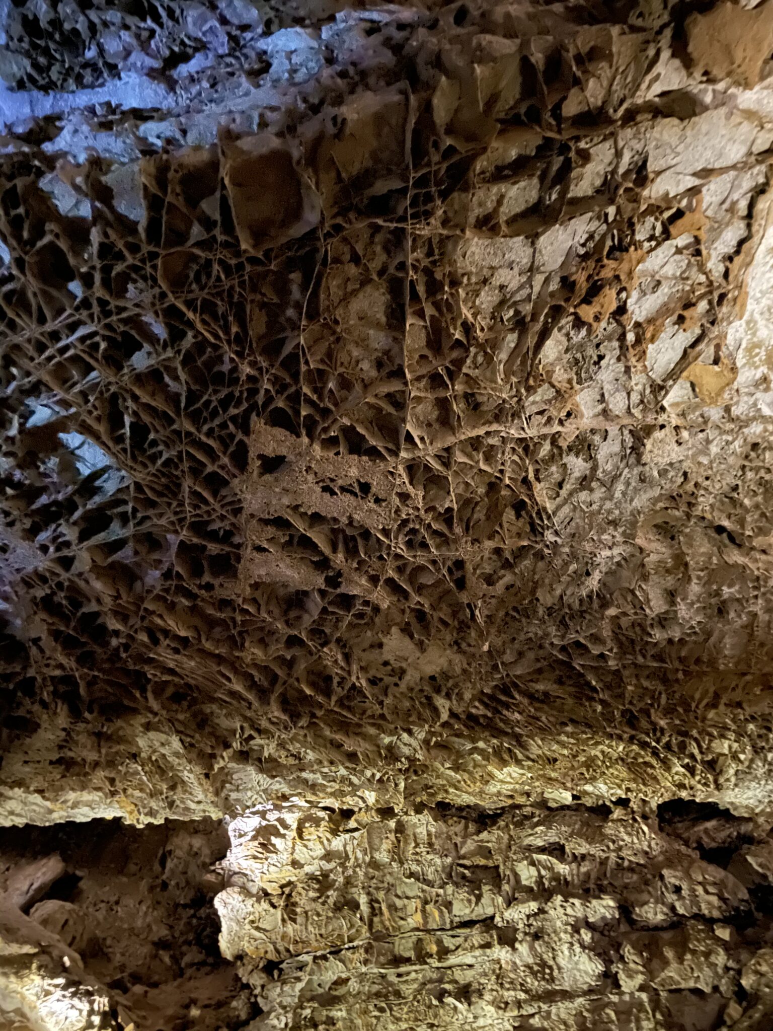 Road Trip! Day 4-5: Custer, Wind Cave, Mt. Rushmore - A Healthy Slice ...