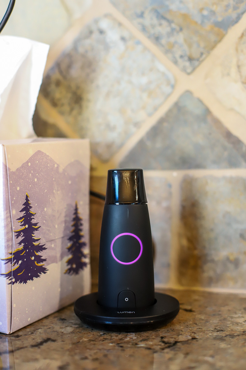 Lumen Metabolism Tracker Review - A Healthy Slice of Life