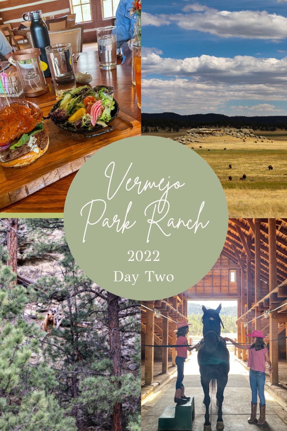 Vermejo Park Ranch: Day 2 - A Healthy Slice of Life