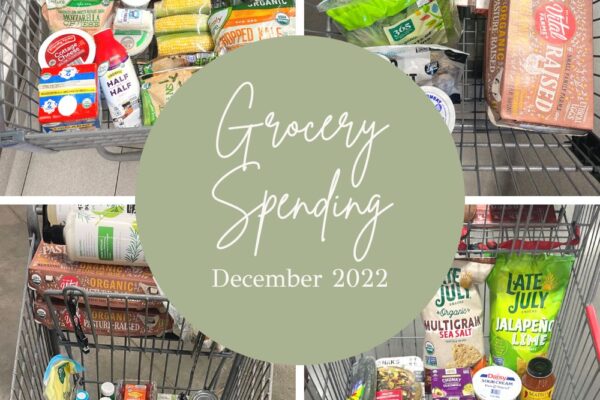 Grocery Spending: December 2022 - A Healthy Slice of Life