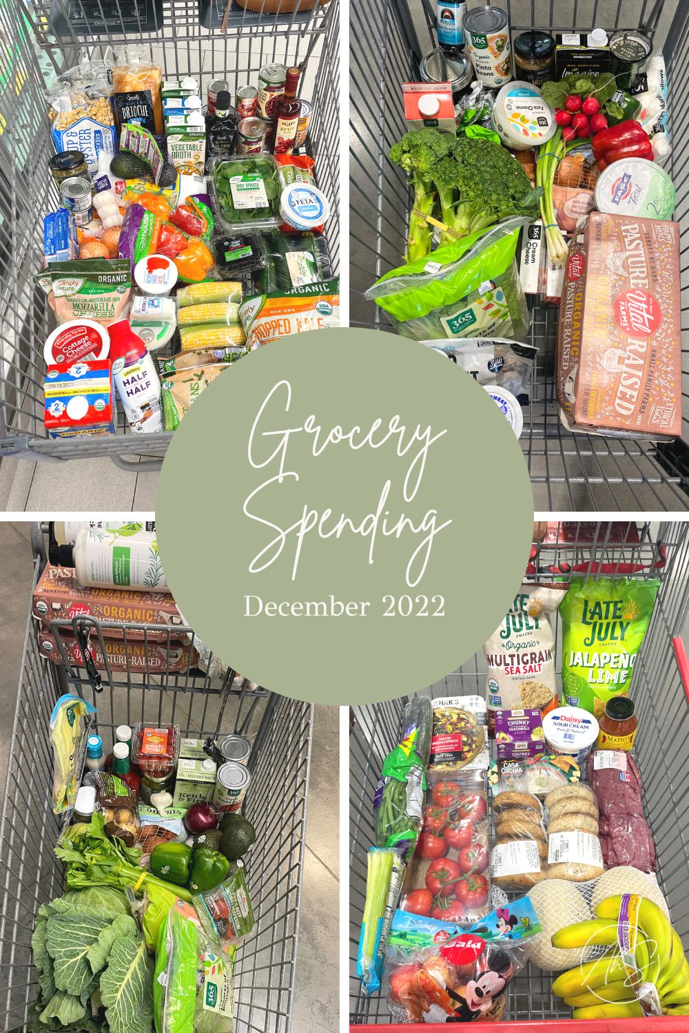 Grocery Spending: December 2022 - A Healthy Slice of Life