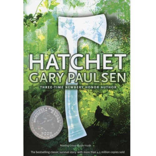 Favorite Book Series for 11 Year Old Girls - A Healthy Slice of Life
