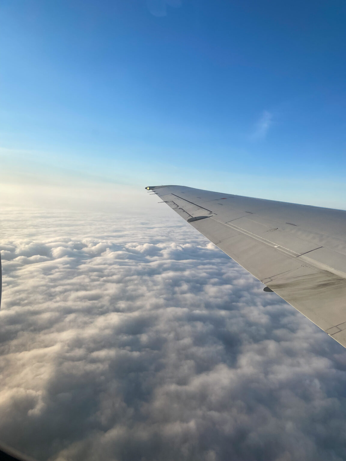 What to Expect with Invisalign: My First Six Weeks