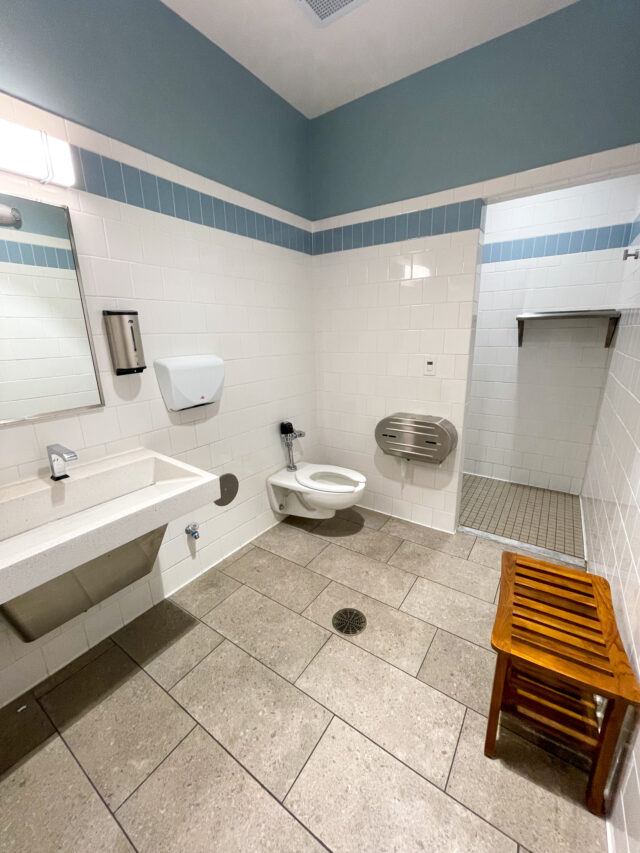 Carolina Pines Review - A Healthy Slice of Life