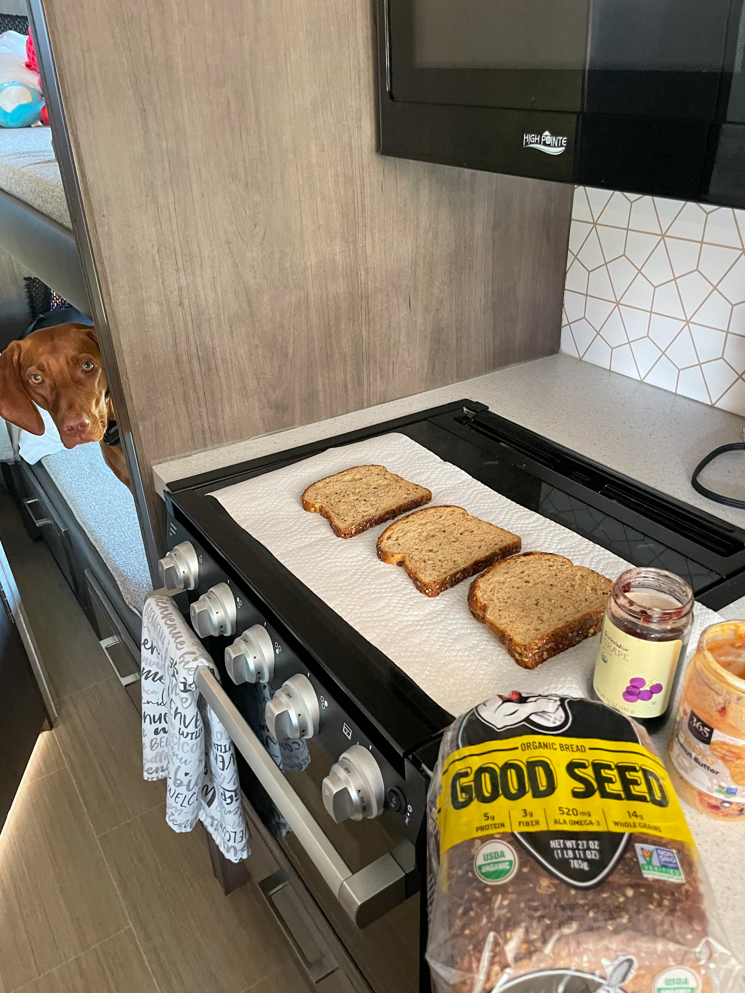 Our First Family RV Experience - A Healthy Slice of Life