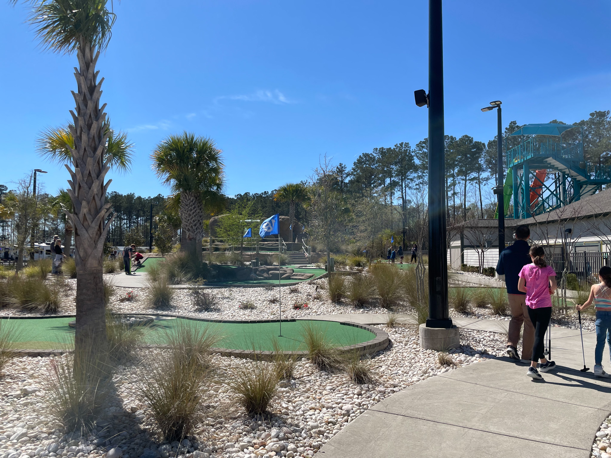 Carolina Pines Review - A Healthy Slice of Life