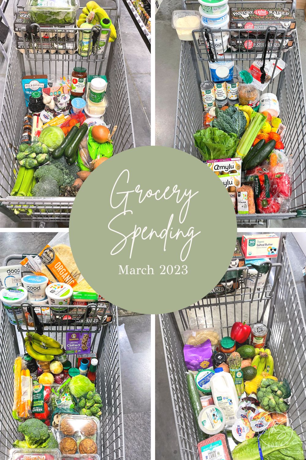 Grocery Spending: March 2023 - A Healthy Slice of Life