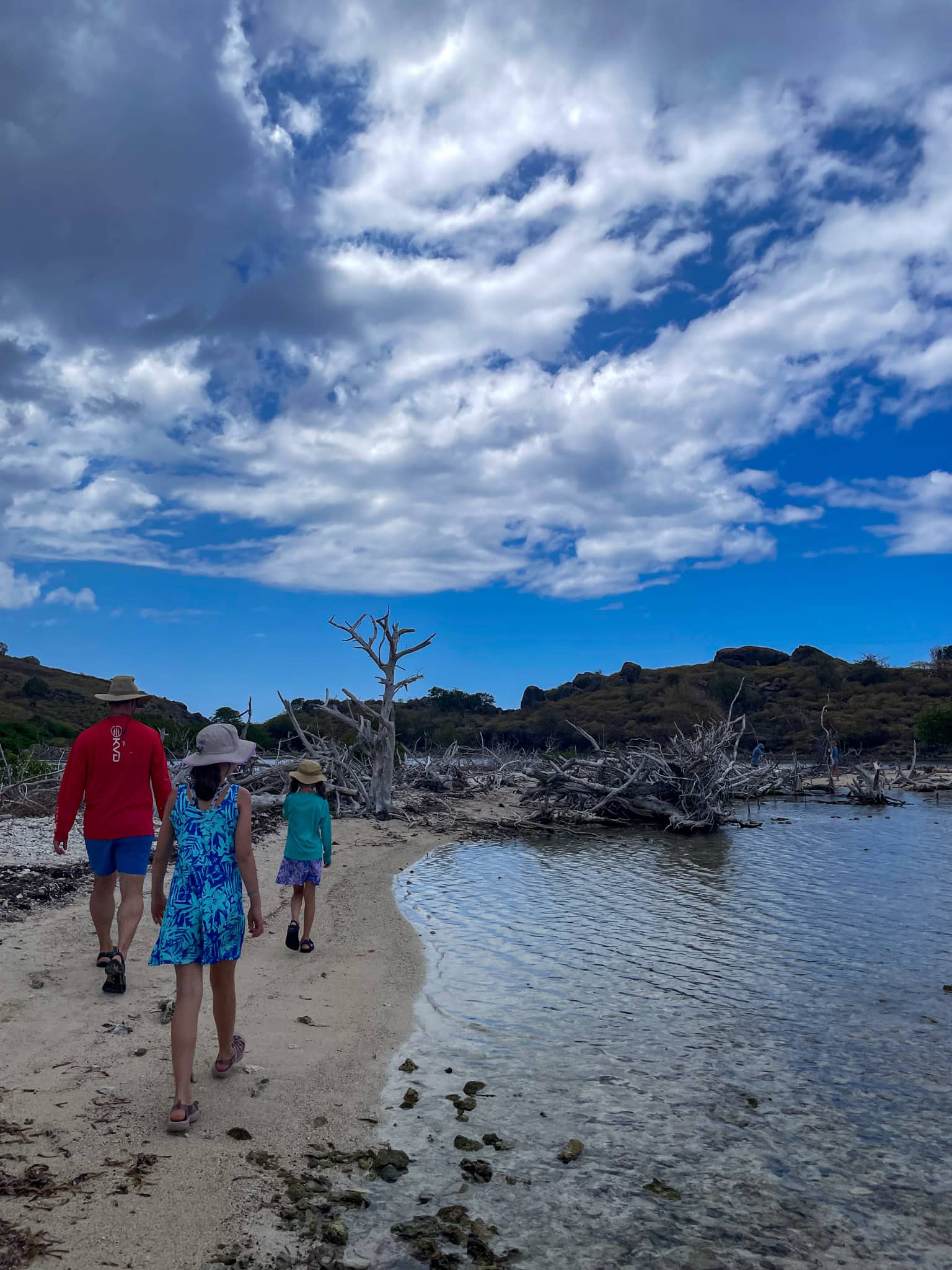 Ultimate BVI Family Sailing Trip - A Healthy Slice of Life