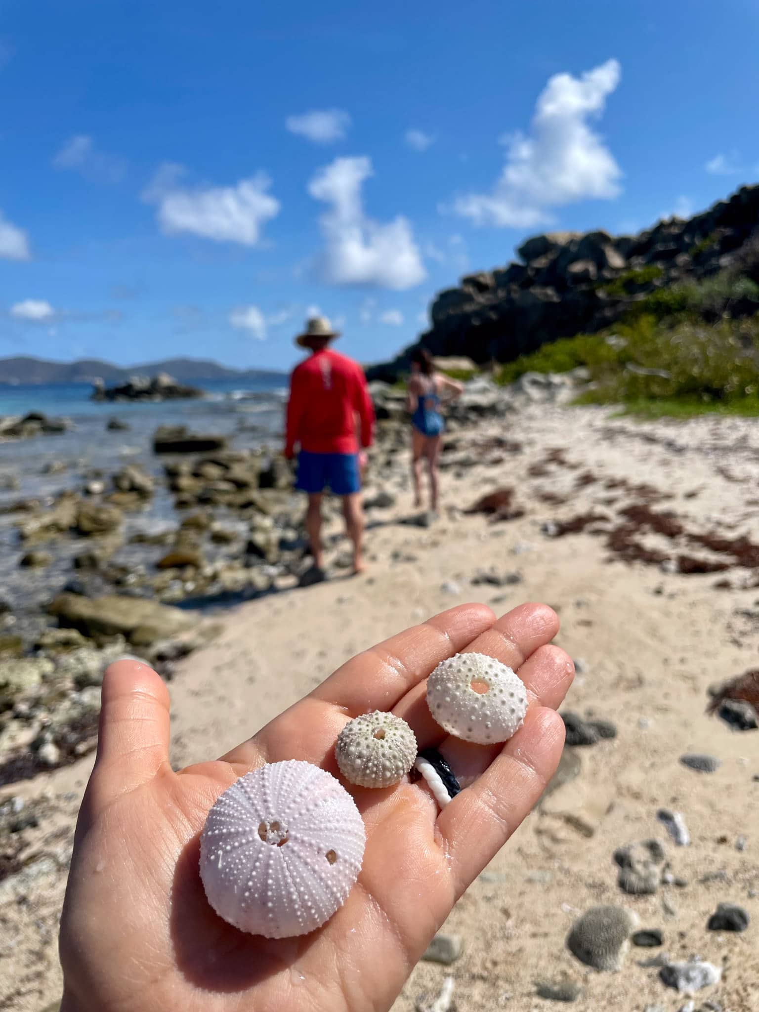 Ultimate BVI Family Sailing Trip - A Healthy Slice of Life