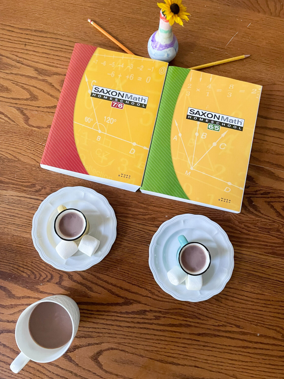 Synthesis School Review: Everything You Need to Know - A Healthy Slice ...