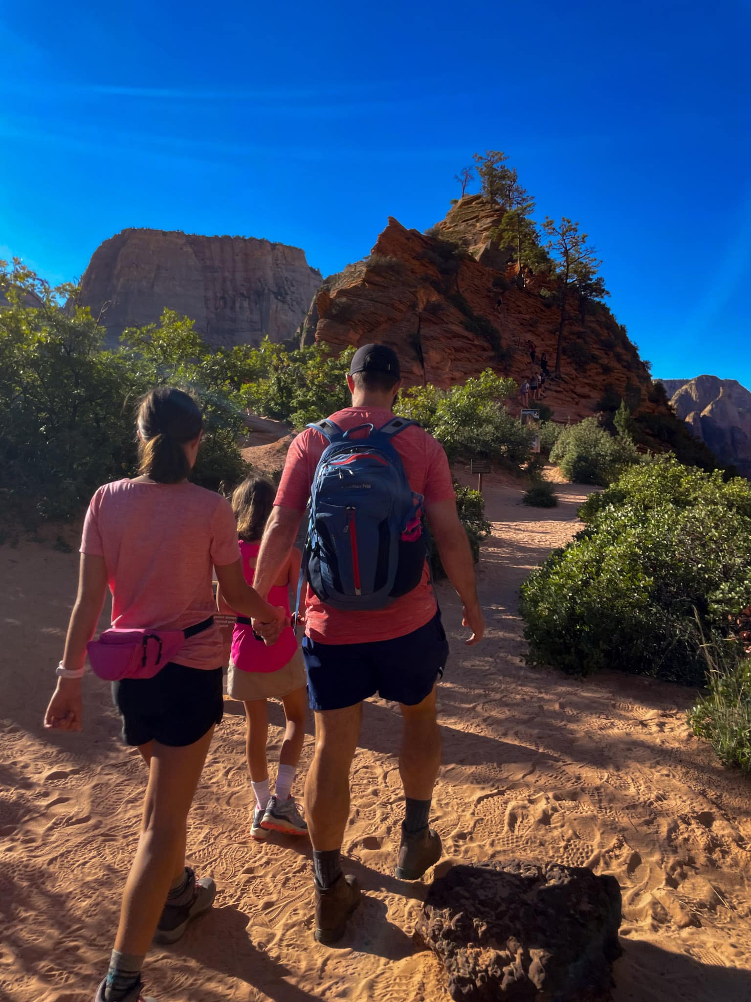 Hiking Angel's Landing with Kids - A Healthy Slice of Life