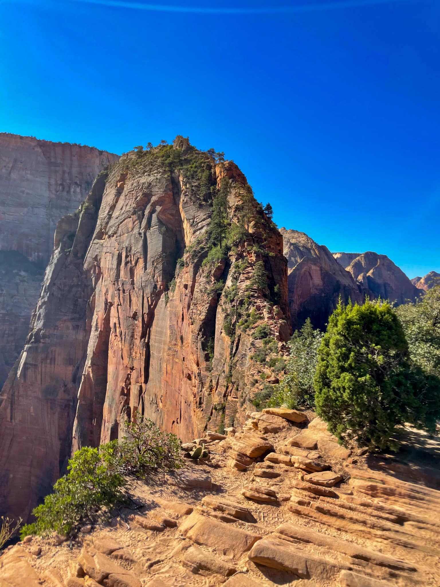 Hiking Angel's Landing with Kids - A Healthy Slice of Life