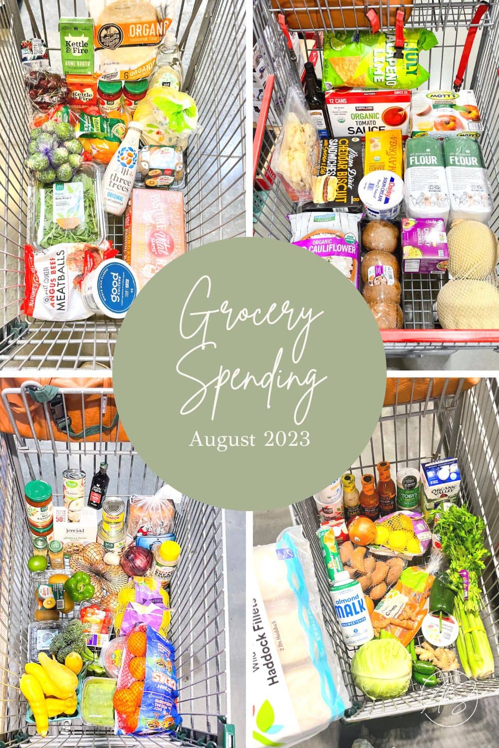 August 2023 Grocery Spending - A Healthy Slice of Life