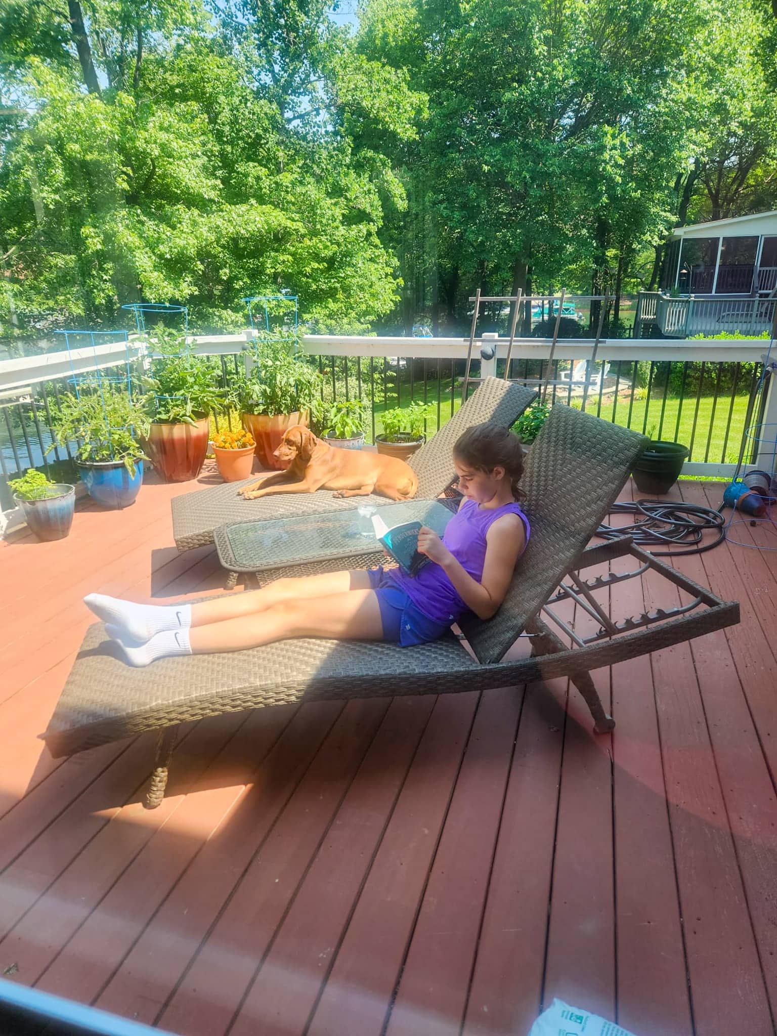 Hailey is 12 Years Old! - A Healthy Slice of Life