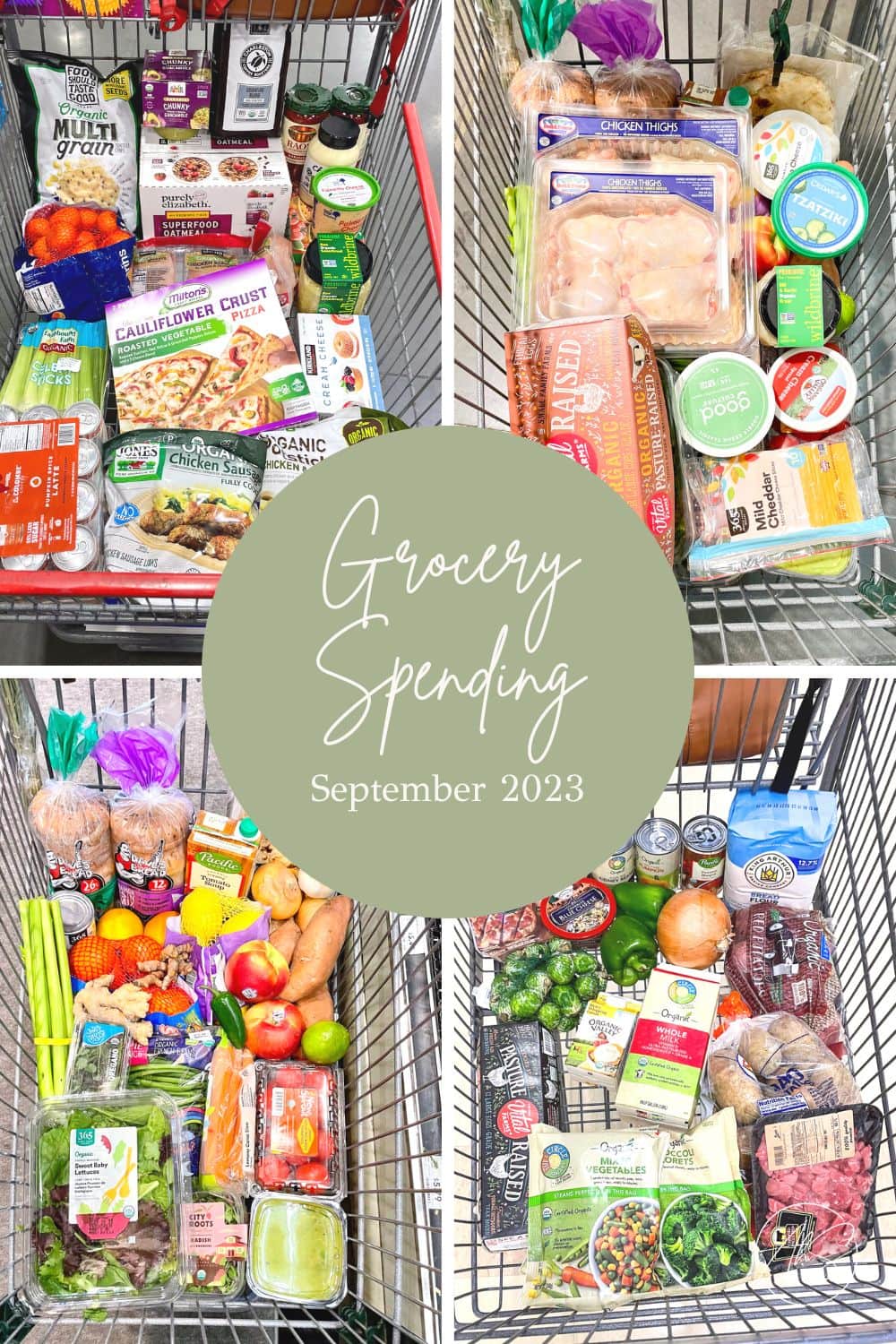 September 2023 Grocery Spending - A Healthy Slice of Life