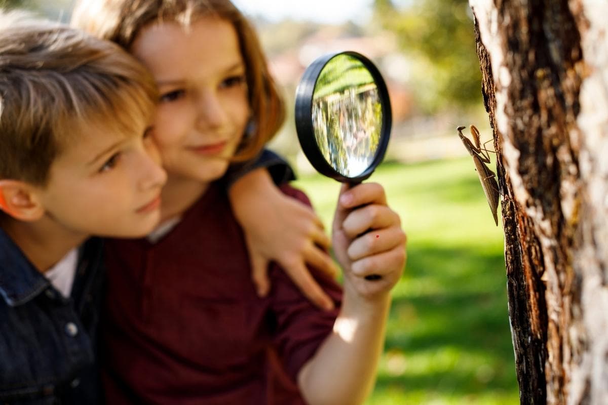 Nature's Classroom: 3 Outdoor Learning Ideas for Pre-K Homeschoolers ...