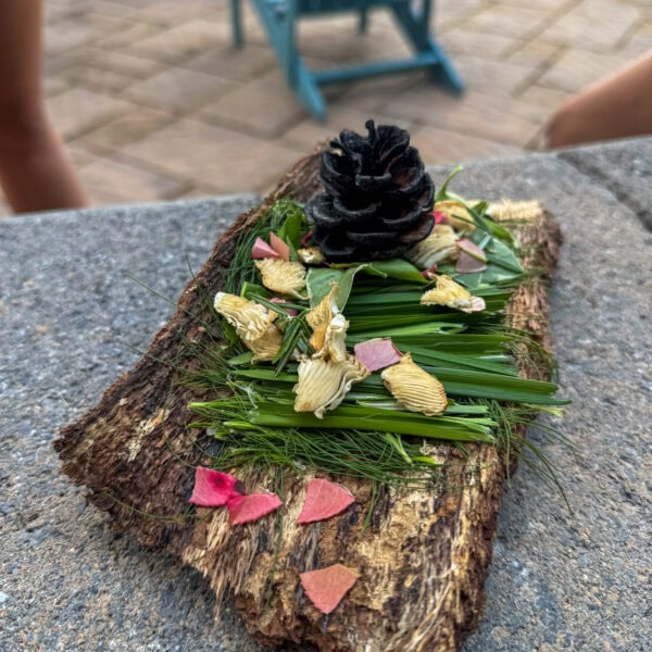 A healthy Slice Of Life Blog | Homeschooling, Parenting, Recipes