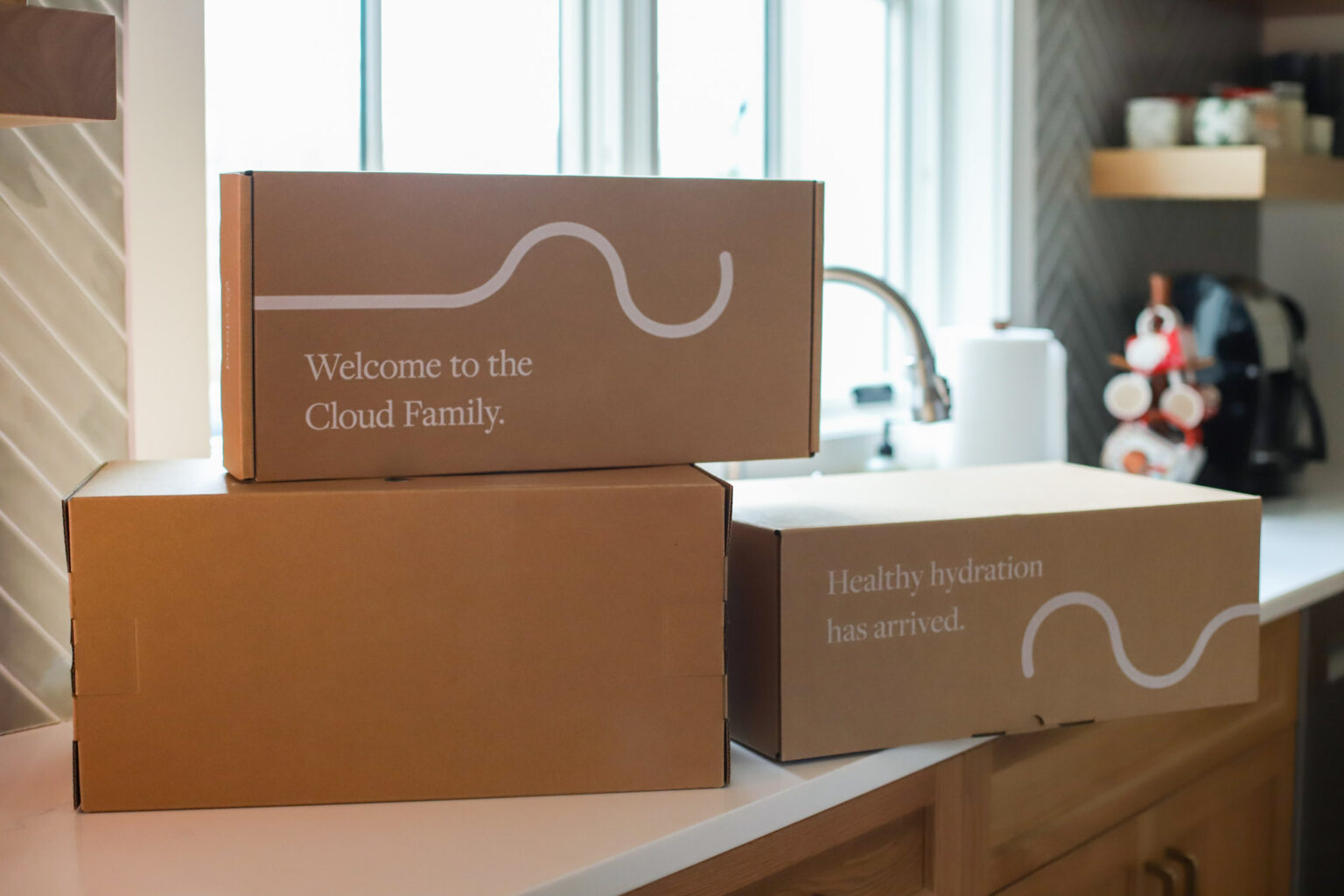 Cloud RO Water Filtration System Review - A Healthy Slice of Life
