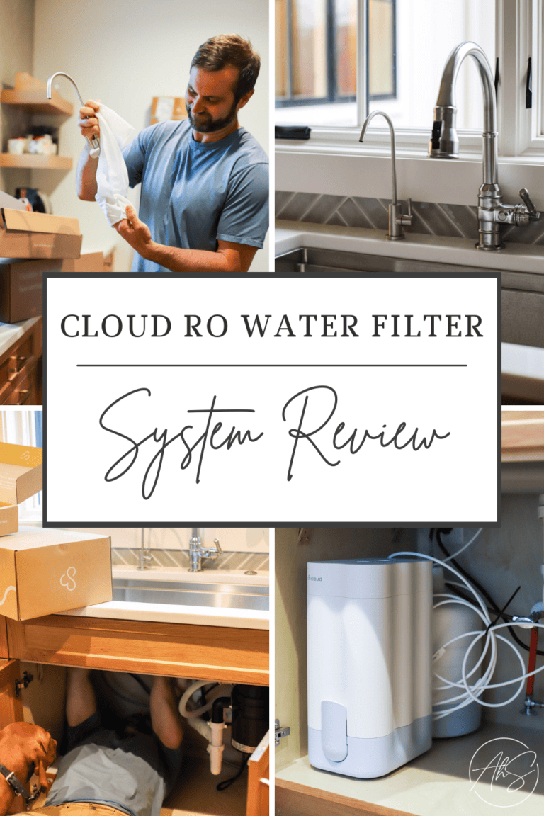 Cloud RO Water Filtration System Review - A Healthy Slice of Life