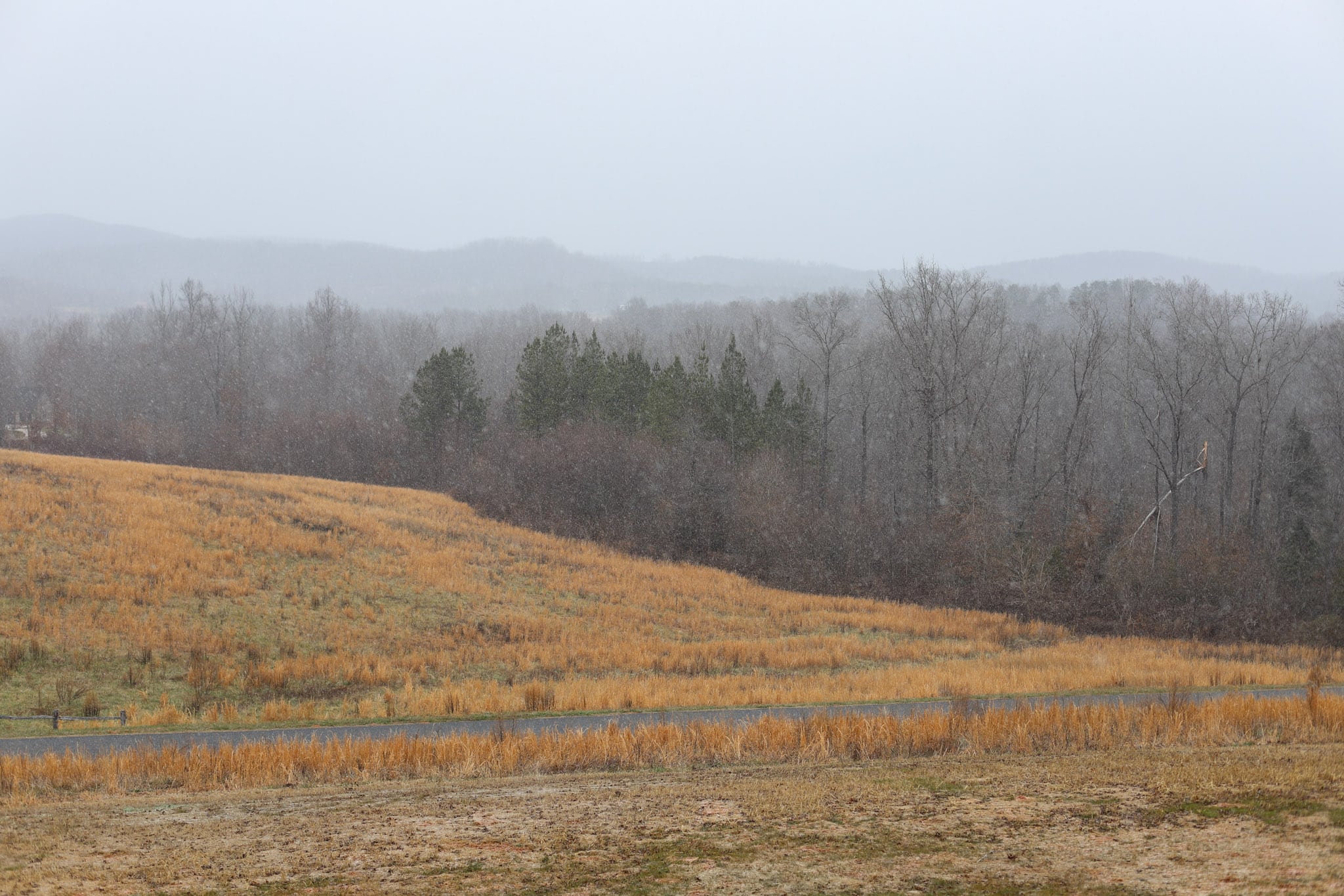 Southern SNOW - A Healthy Slice of Life