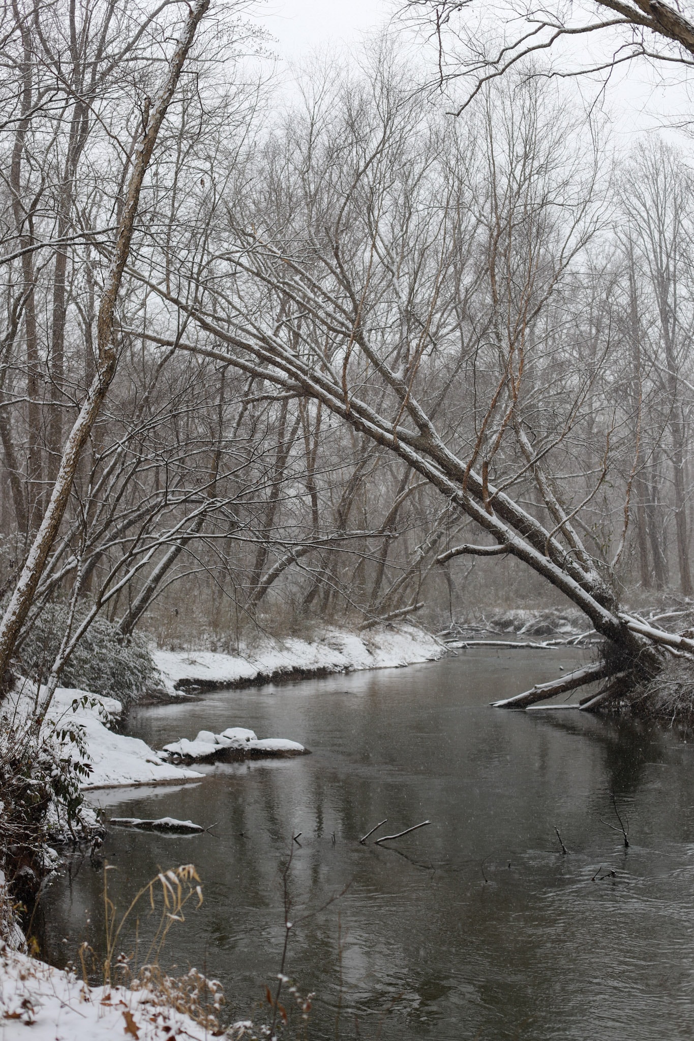 Southern SNOW - A Healthy Slice of Life
