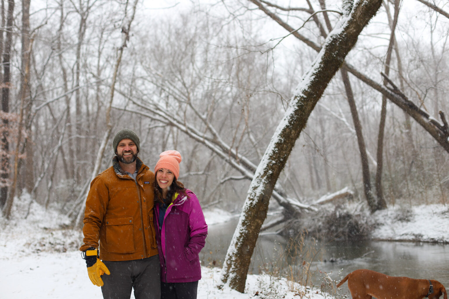 Southern SNOW - A Healthy Slice of Life