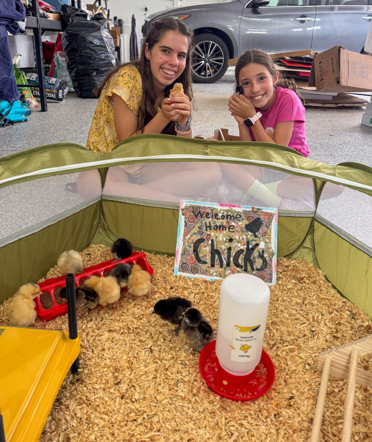 We have CHICKENS! - A Healthy Slice of Life