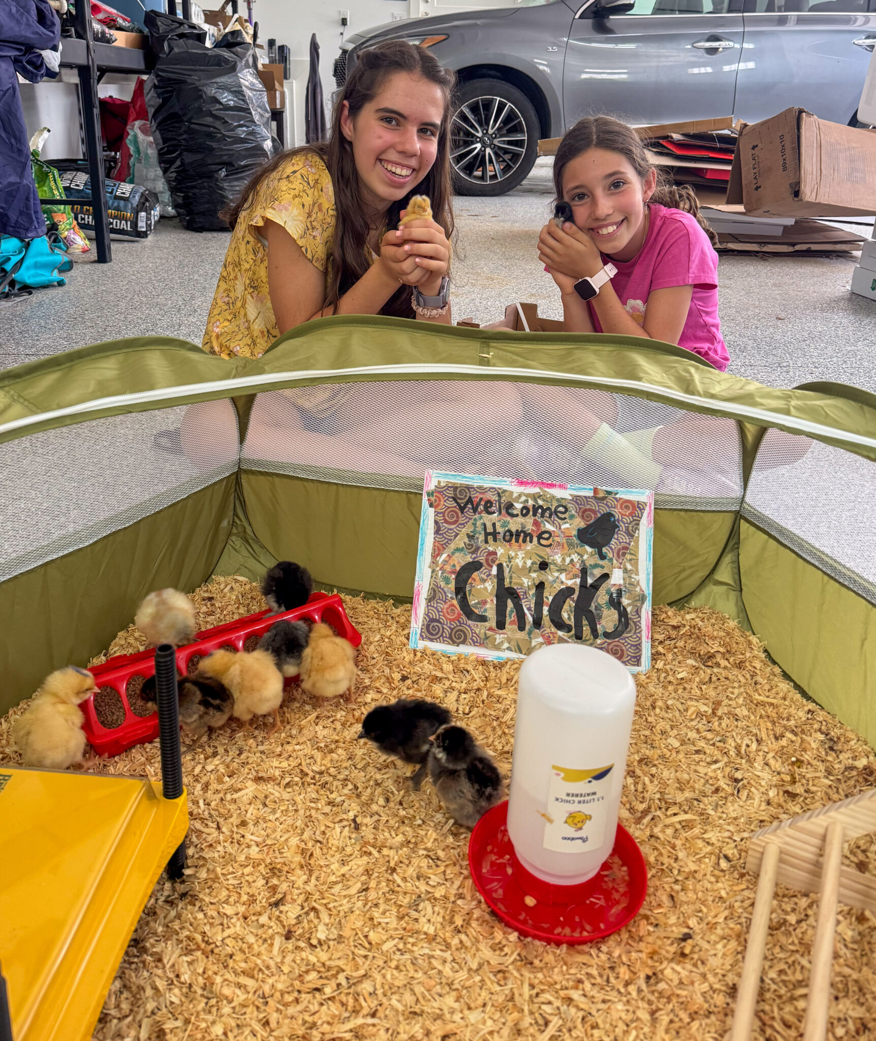 We have CHICKENS! - A Healthy Slice of Life