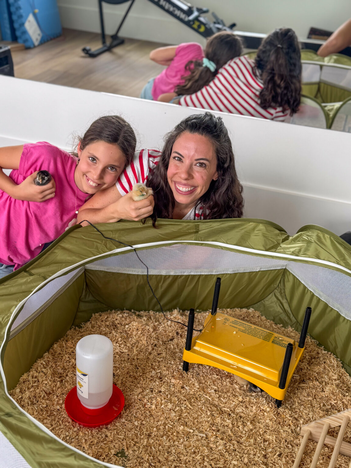 We have CHICKENS! - A Healthy Slice of Life