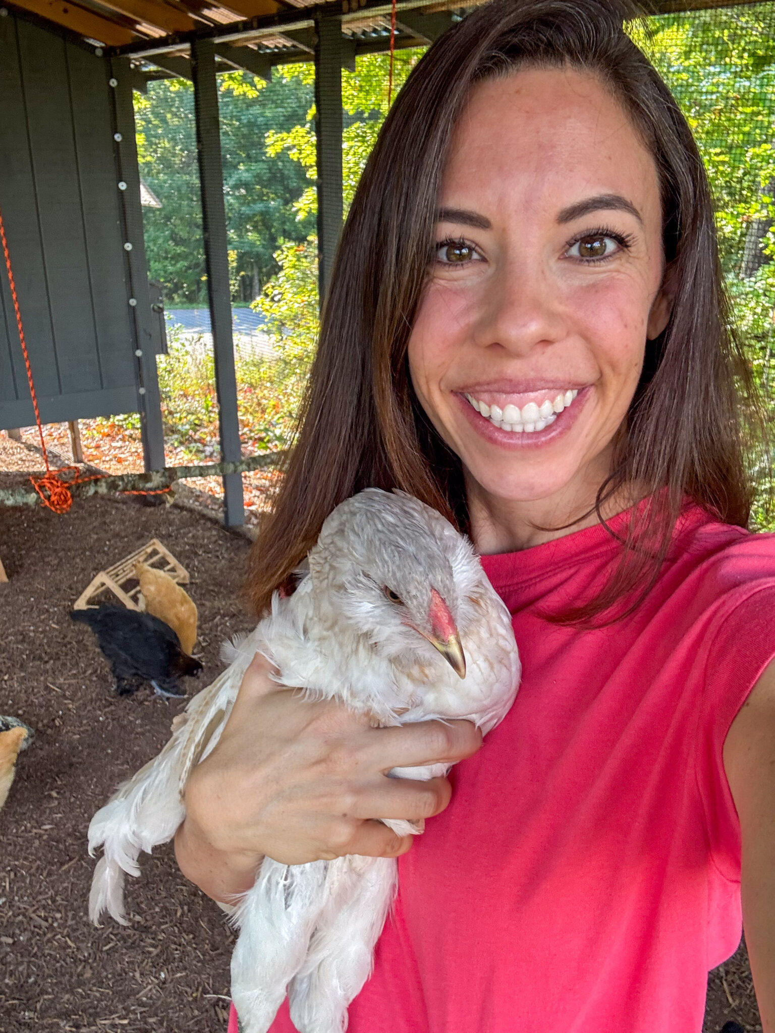 Feathers, Feelings, and Surprise Roos - A Healthy Slice of Life