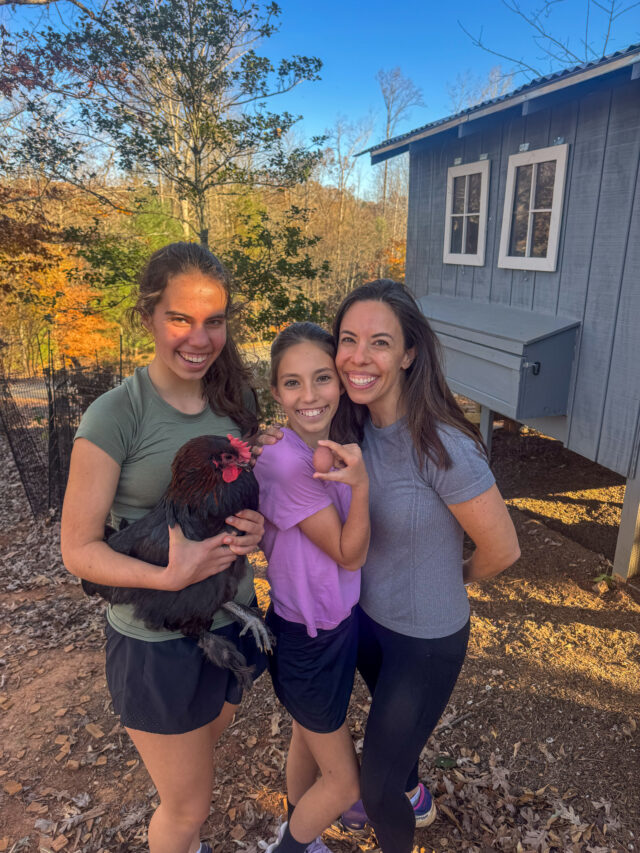 22 Week Old Chicken Update - A Healthy Slice of Life