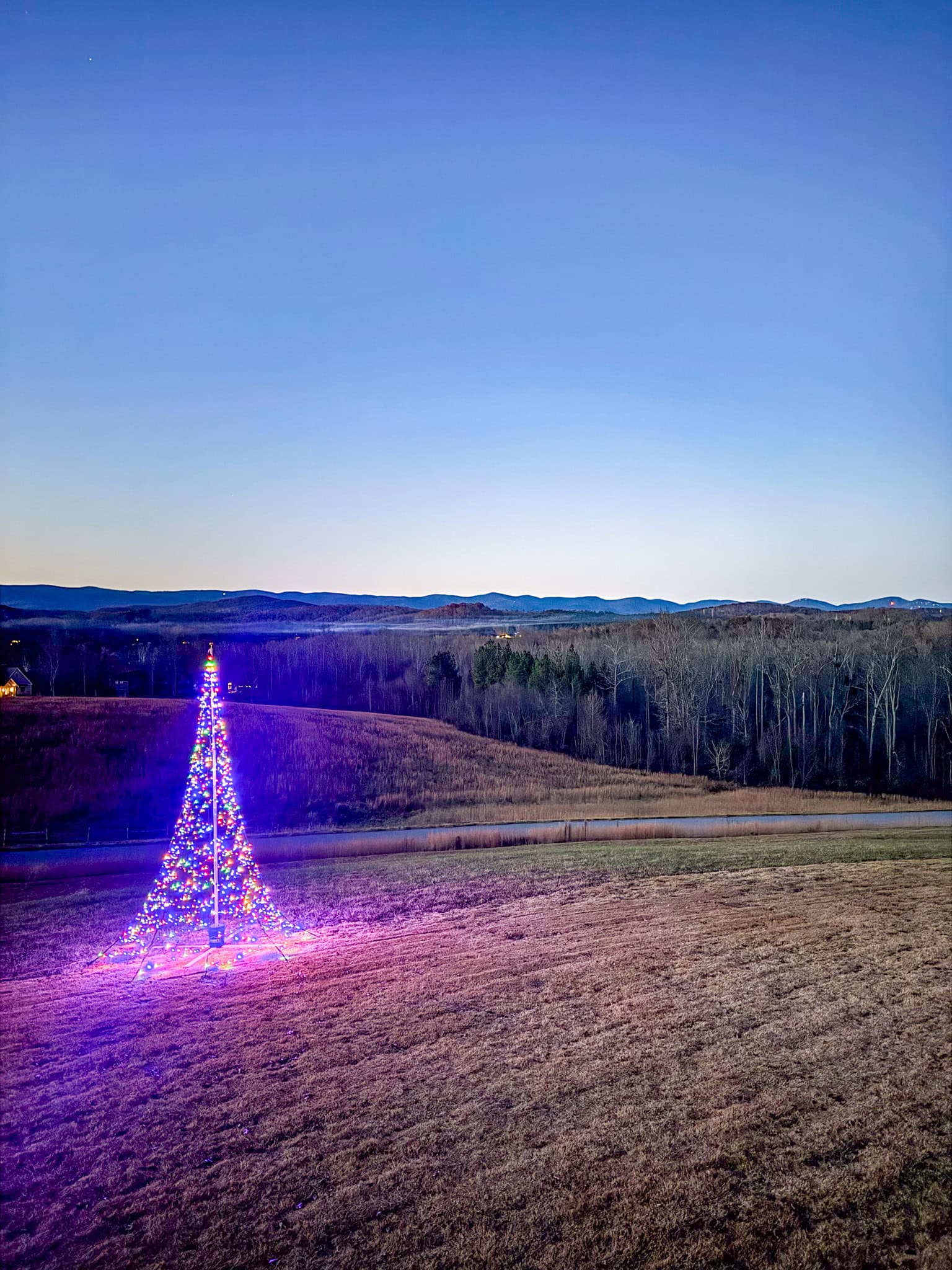 Thanksgiving Week 2025 - A Healthy Slice of Life